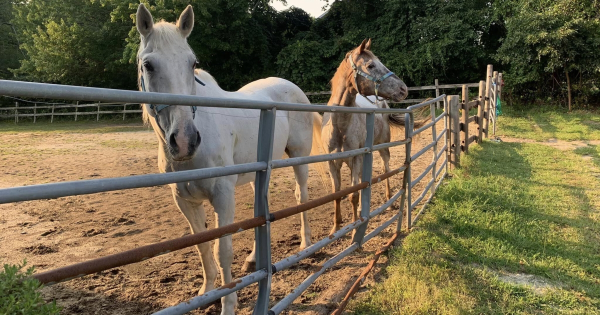 Winter Brook Farm | CTvisit