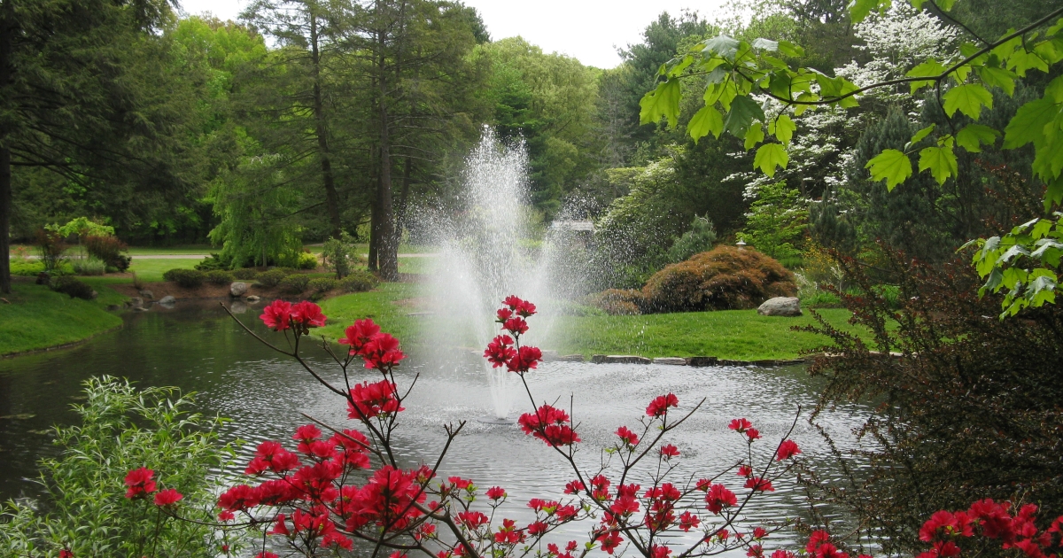 Wickham Park | CTvisit