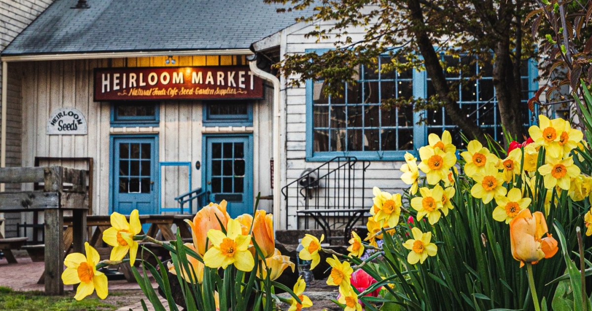 Town of Wethersfield | CTvisit