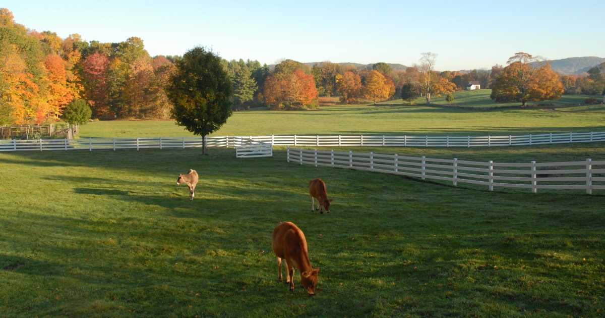 New Pond Farm Education Center | CTvisit