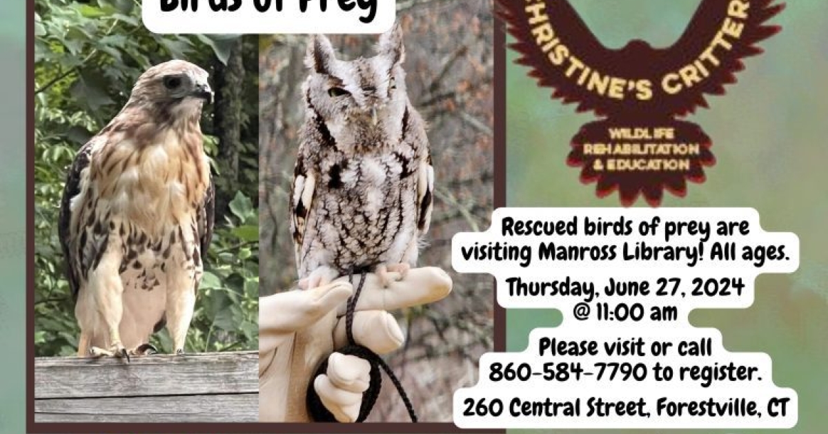 Christine's Critters: Birds of Prey Are Visiting the Manross Library ...
