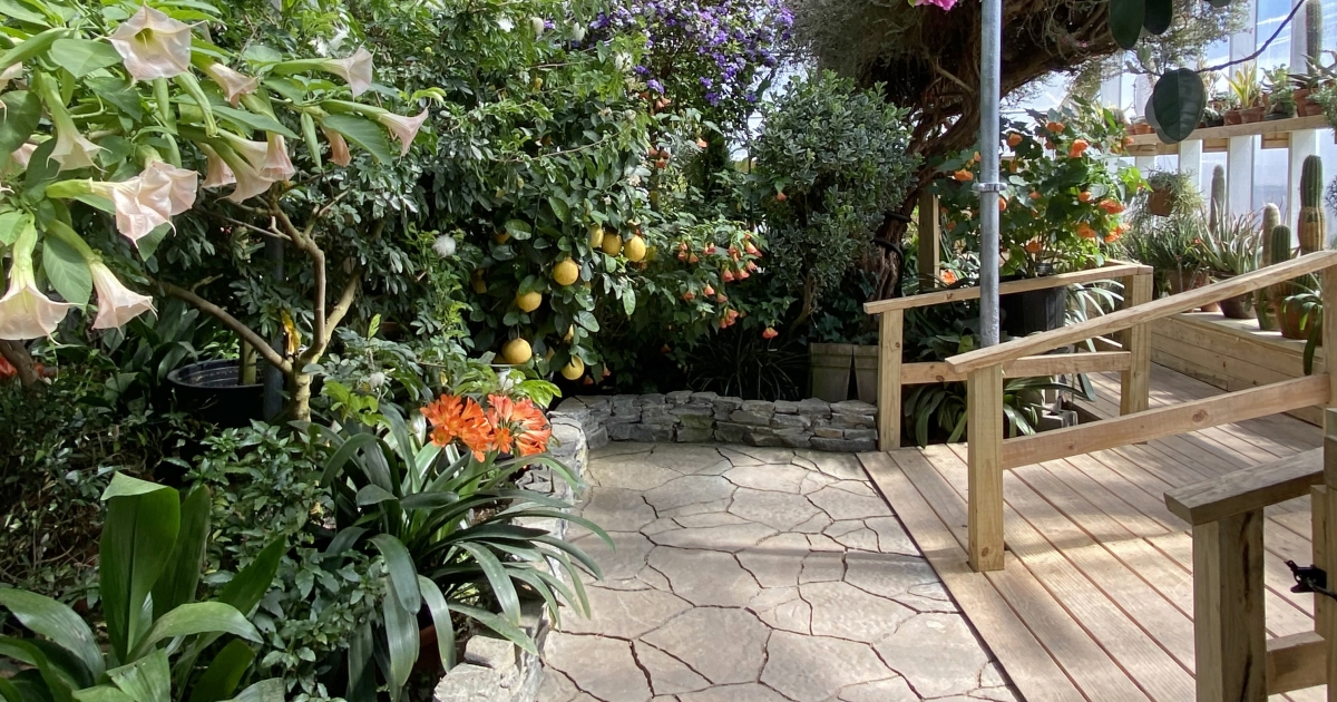 Logee's Plants for Home & Garden | CTvisit