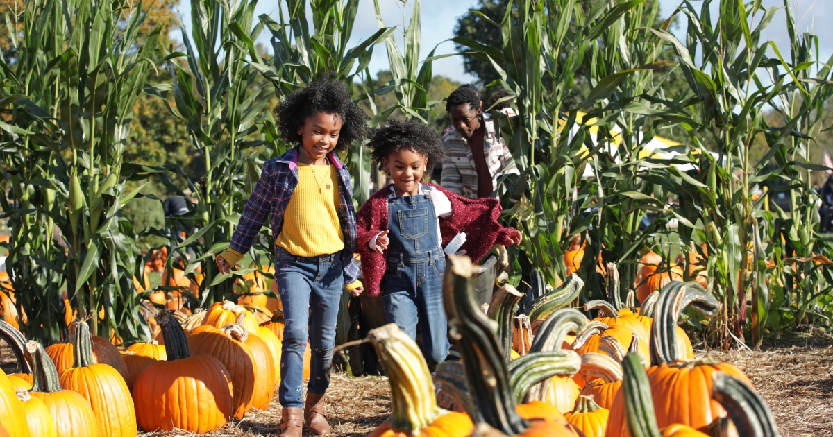 Pumpkin Season in Connecticut | CTvisit