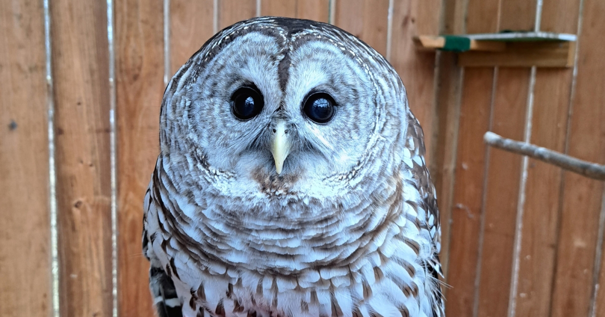 Hungerford Nature Center | CTvisit