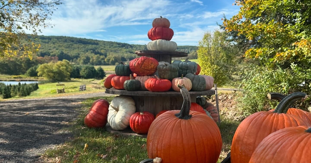 Angevine Farm | CTvisit