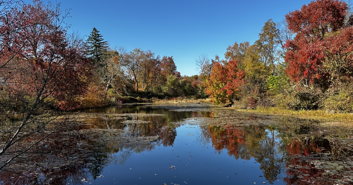Flanders Nature Center & Land Trust | CTvisit