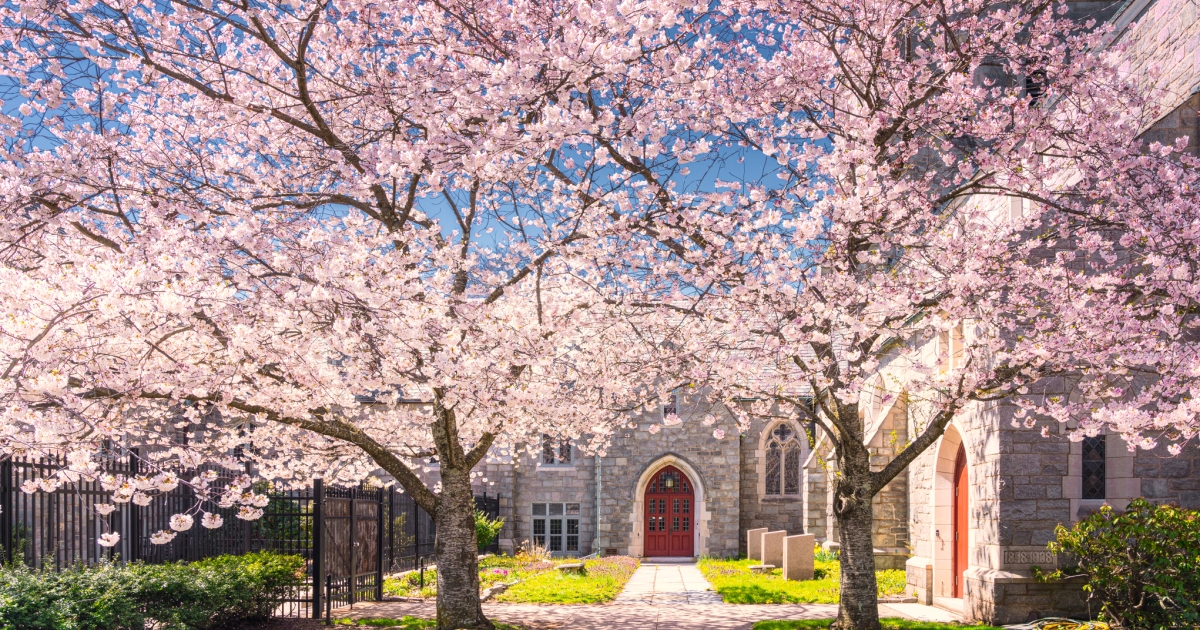 34 Things to Do in Connecticut This April | CTvisit