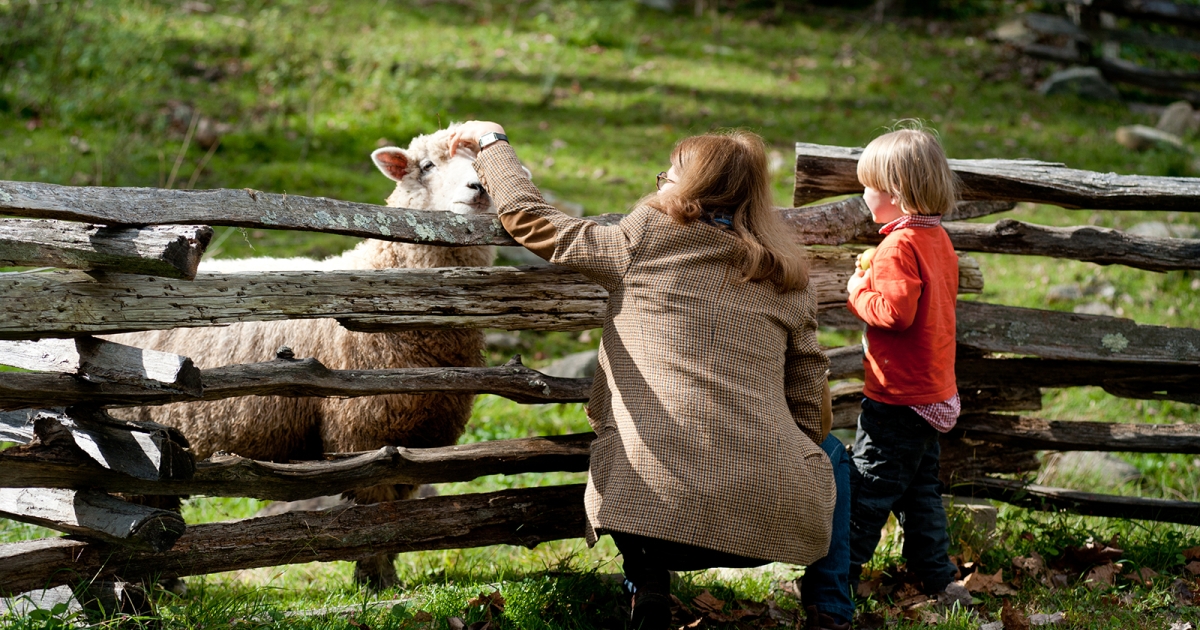 Animal Encounters | CTvisit