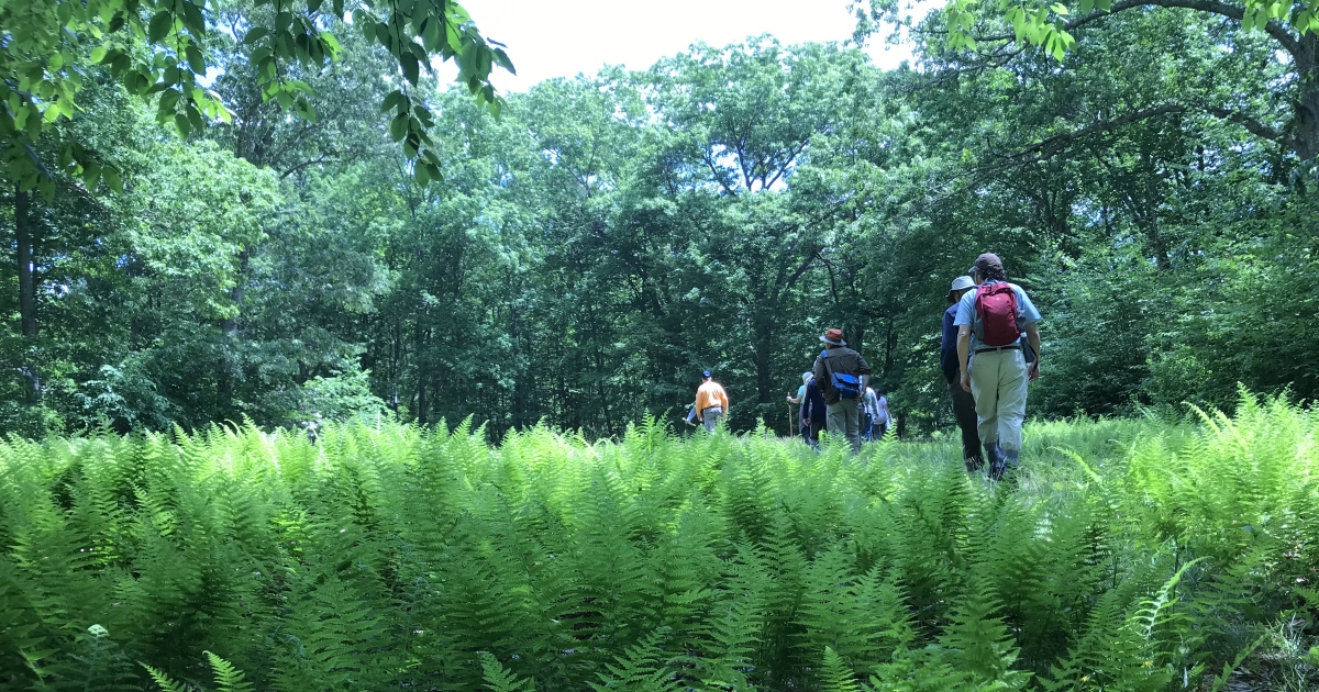 Avalonia Land Conservancy | CTvisit