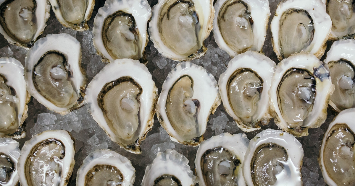 Dine, Stay, and Play on the Connecticut Oyster Trail | CTvisit
