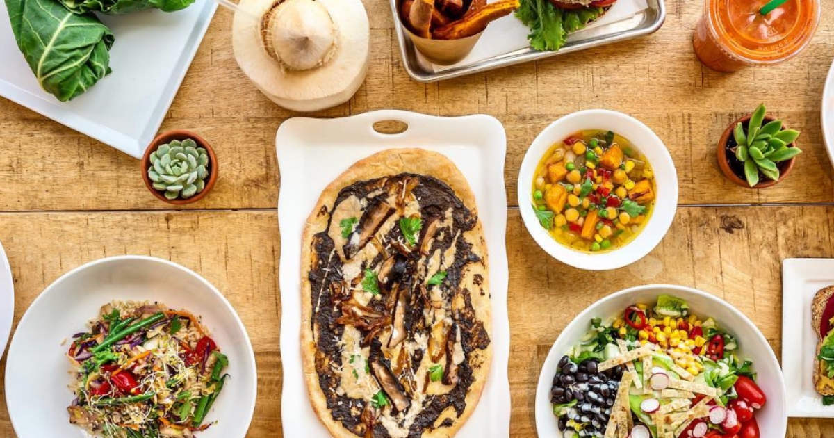 Plant-Based Connecticut | CTvisit