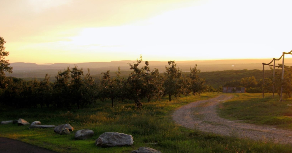 Crystal Ridge Winery | CTvisit