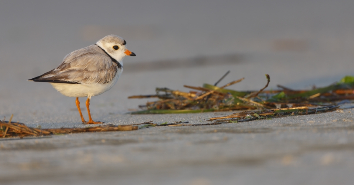 Sandy Point | CTvisit