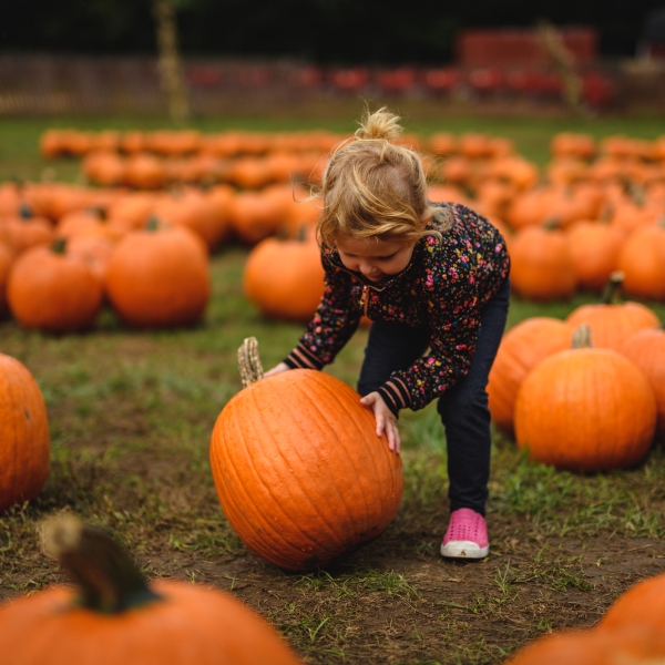 6 Things to Add to Your Fall Bucket List | CTvisit