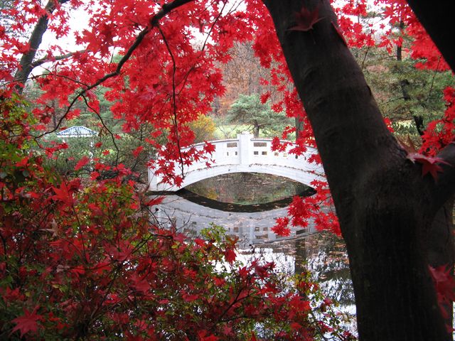 34 Things to Do in Central Connecticut this Fall | CTvisit