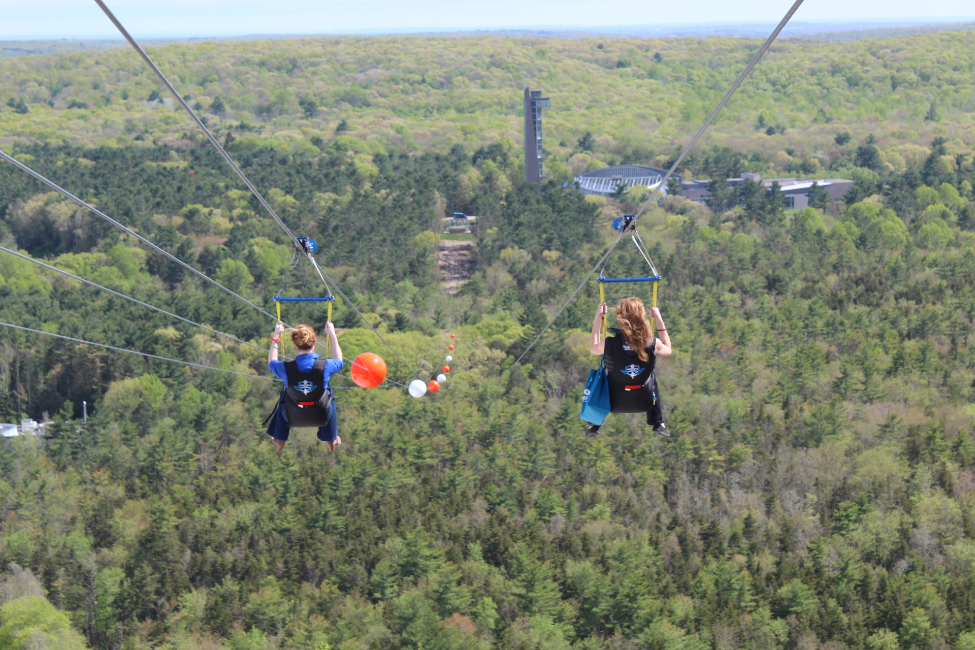 Things to Do for Young People in Connecticut | CTvisit